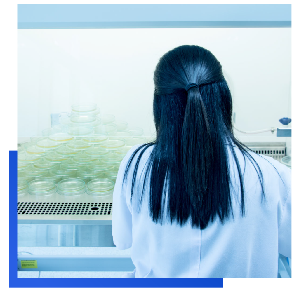 Bio Medical | Allometrics