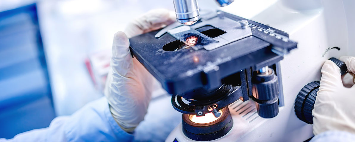 Bio Medical | Allometrics