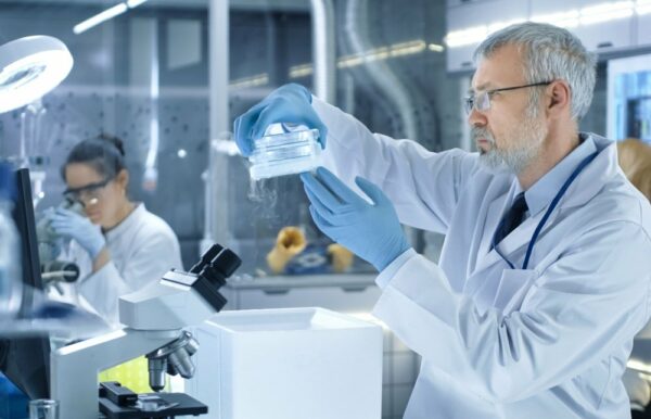 Lab Freezer Calibration - Allometrics