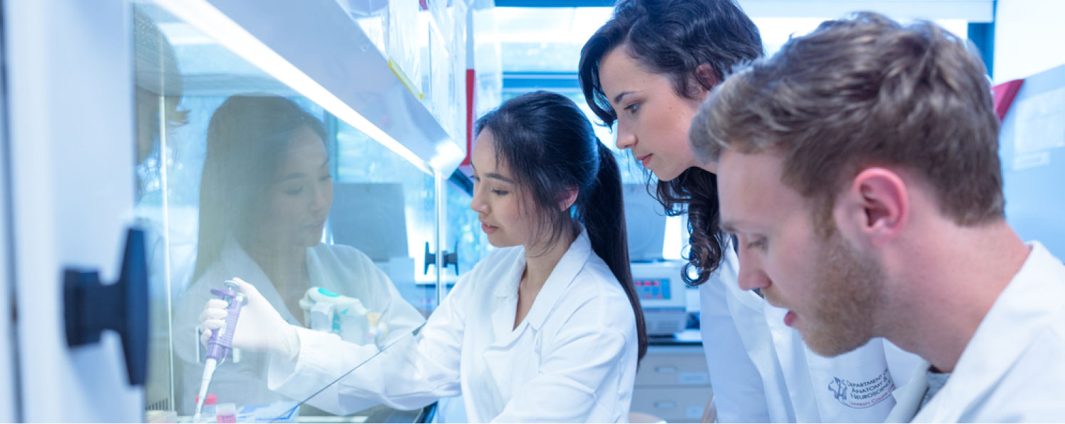 Industries | Allometrics