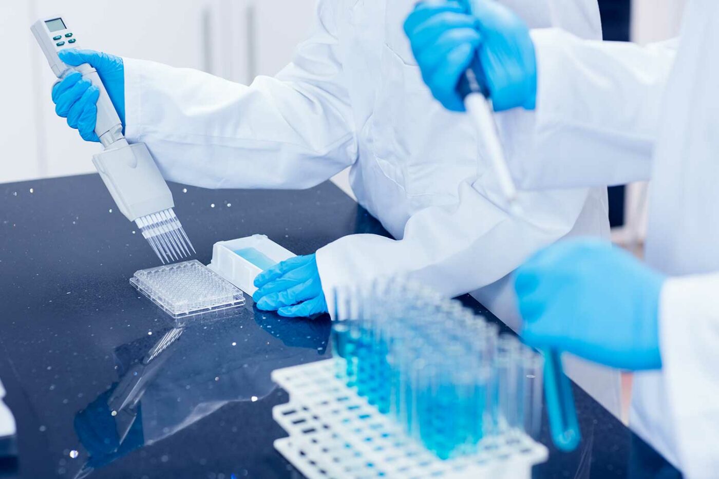 Environmental Science and Metrology | Allometrics