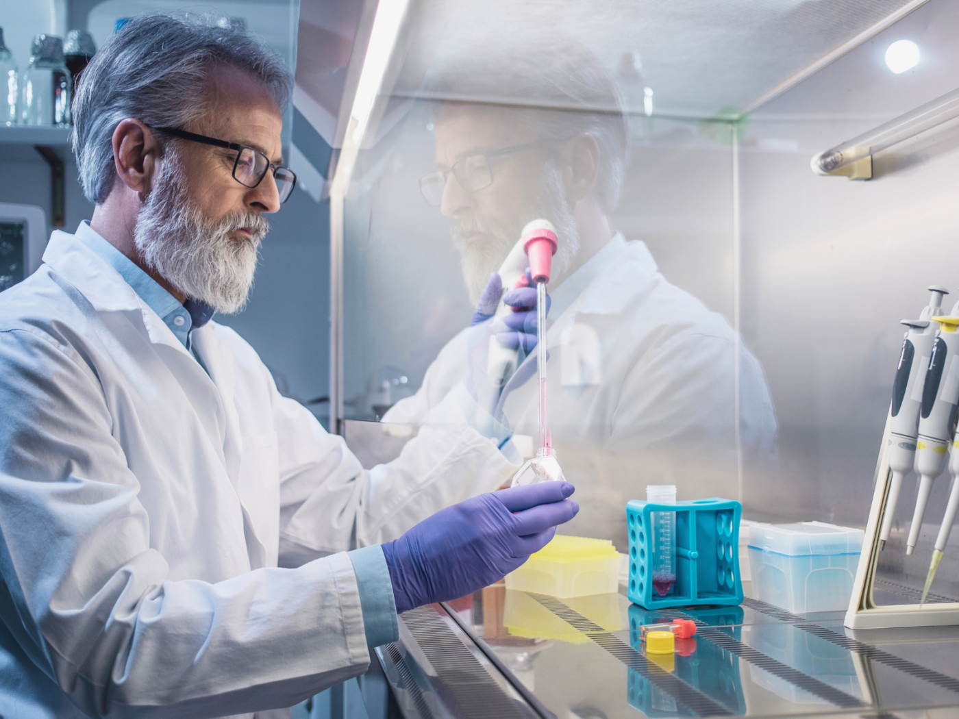 What is a Chemical Fume Hood - Allometrics